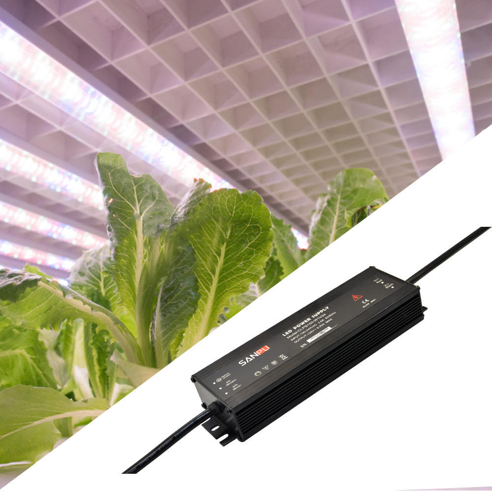 Make Waves With LED Strip Light for Your Boat Dock - SMPS Power